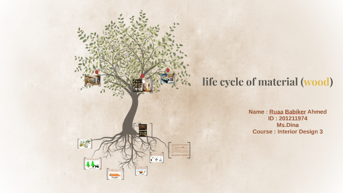 life cycle of material wood) by ruaa ahmed on Prezi