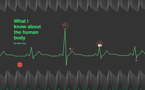What I know about the human body by Cian King on Prezi