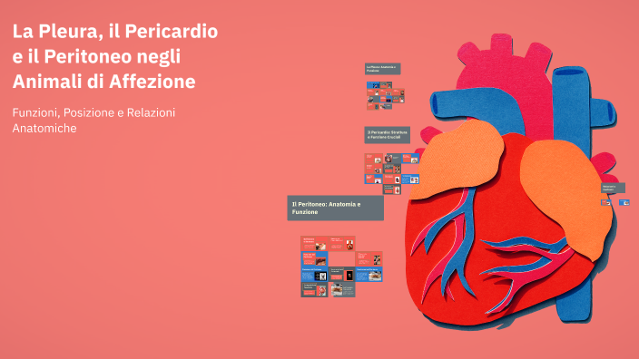 La Pleura, il Pericardio e il Peritoneo negli Animali di Affezione by ...