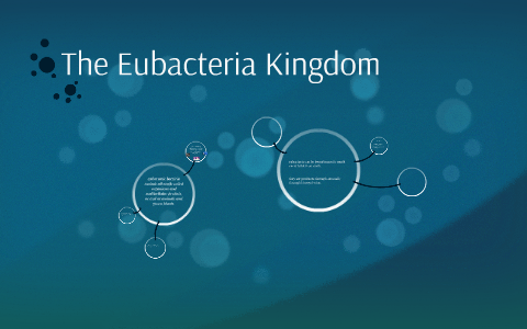 The Eubacteria Kingdom by Luke Davis on Prezi