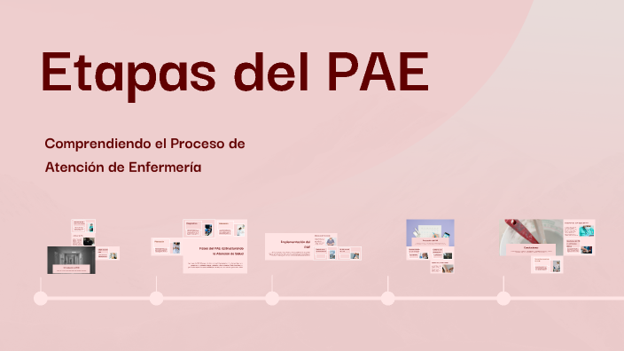Etapas del PAE by Dulce Gabriela Perez Guillen on Prezi