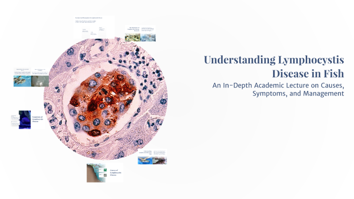 Understanding Lymphocystis Disease in Fish by M S on Prezi