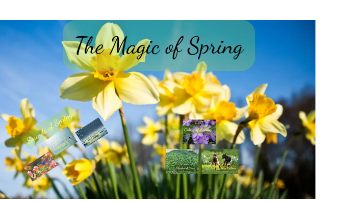 Magic of Spring by Linkin Pinegar on Prezi