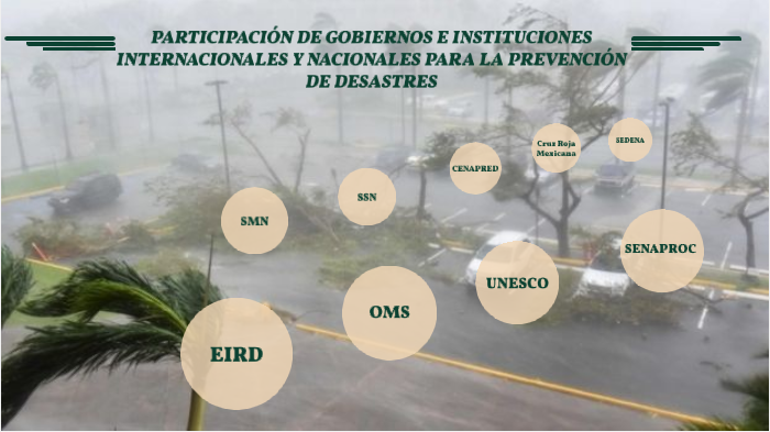 Participación de gobierno e instituciones internacionales y nacionales ... Participación de gobierno e instituciones internacionales y nacionales ...