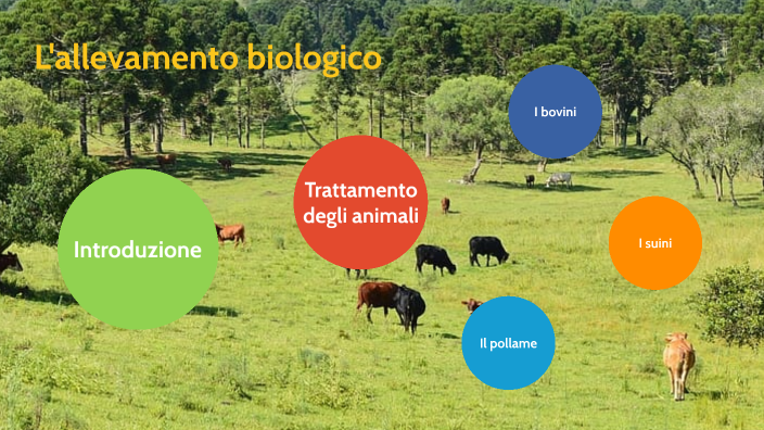 Allevamento Biologico by Edoardo Spano on Prezi