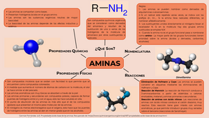MAPA MENTAL DE LAS AMINAS by Daniela Salazar on Prezi Design