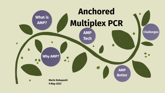 Anchored Multiplex PCR (AMP) by Marie Kobayashi on Prezi Anchored Multiplex PCR (AMP) by Marie Kobayashi on Prezi