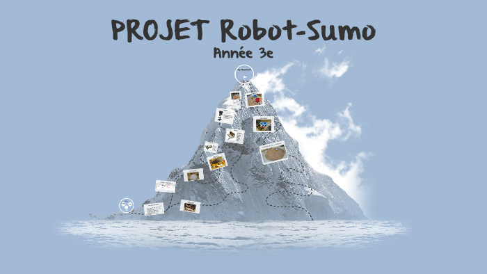 PROJET Robot-Sumo by Louis Cottard on Prezi