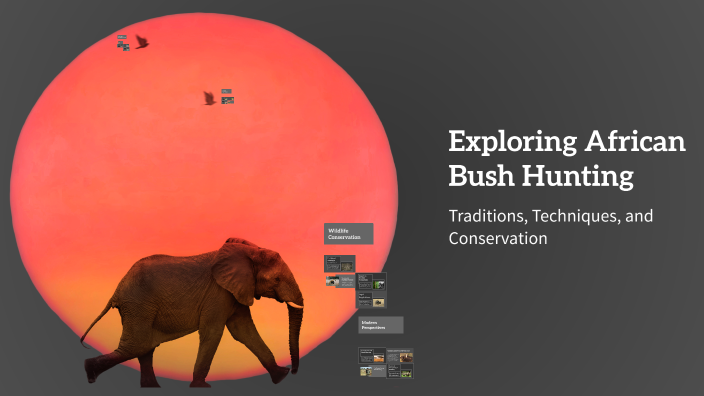 Exploring African Bush Hunting by Marha Hekel on Prezi