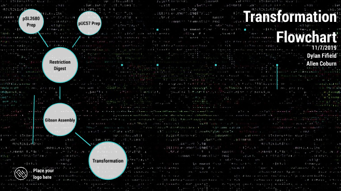 Transformation Flowchart by Dylan Fifield on Prezi
