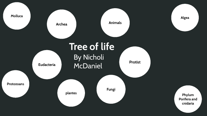 three of life by Nicholi McDaniel on Prezi