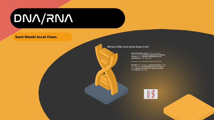 Exploring the Wonders of DNA and RNA by sami Sheshi on Prezi