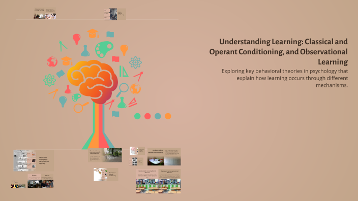 Understanding Learning: Classical and Operant Conditioning, and ...
