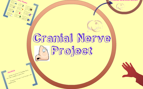 Cranial Nerve Project by Mikaela Kufrovich on Prezi