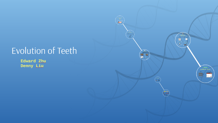 Evolution of Teeth by U%TJOSJDFJLFJS&@D %^7dasfs5464gd#$#%4564 on Prezi