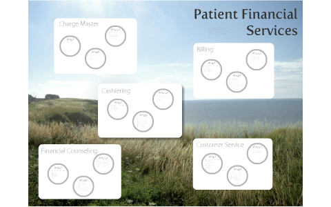 Patient Financial Services Org Chart by Brian Stephens on Prezi