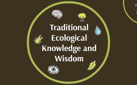 Traditional Ecological Knowledge and Wisdom by Hannah Reid on Prezi