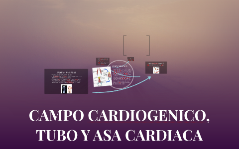 CAMPO CARDIOGENICO, TUBO Y ASA CARDIACA by Lexi Lozz on Prezi