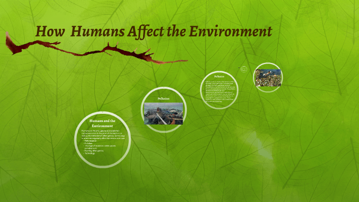 How Humans Affect the Environment by Elizabeth Alcantara on Prezi