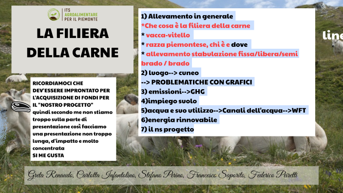 La filiera della carne by greta renaudo on Prezi