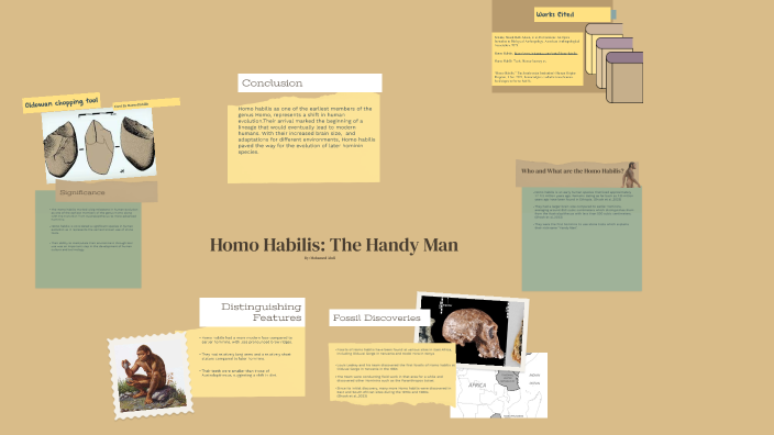 Homo habilis: The Handy Man by Mohamed Abdi on Prezi