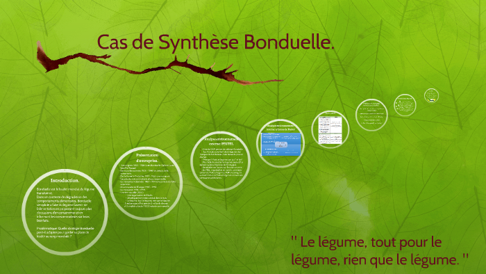 Cas de synhèse Bonduelle by Myriam Noël on Prezi