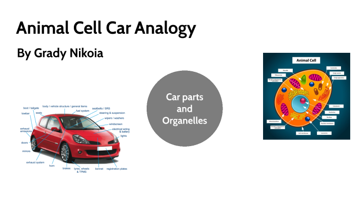 Animal Cell car analogy by Grady Nikoia on Prezi