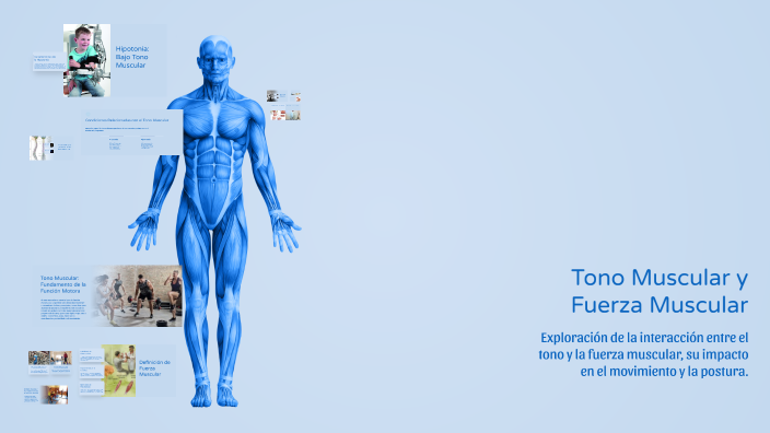 Tono Muscular y Fuerza Muscular by Lisbeth Silvana Chavez Moreno on Prezi
