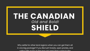 Infographic by Matteo Carlini on Prezi Design