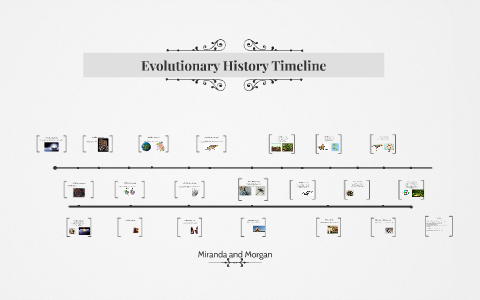 Evolutionary History Timeline by Morgan Graham on Prezi
