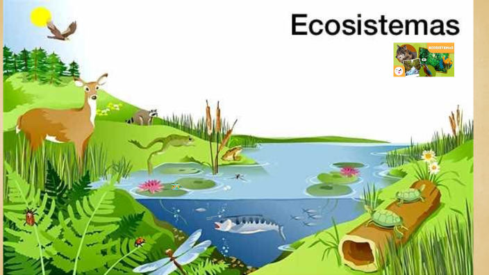 Ecosistemas By Yadbicia Barrantes On Prezi