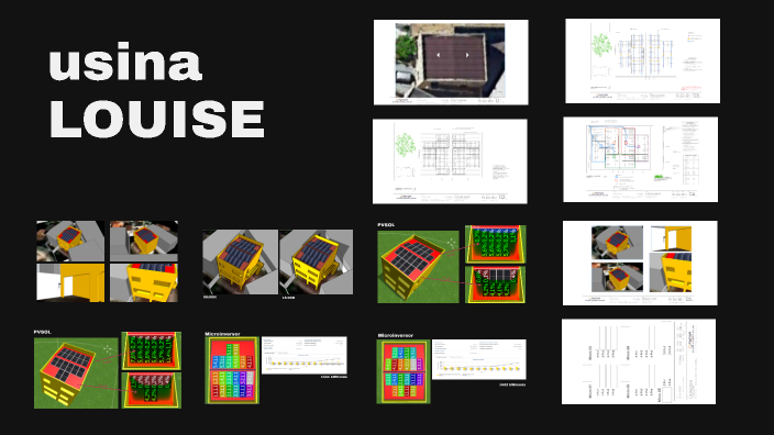 Louise by Felipe Amorim on Prezi