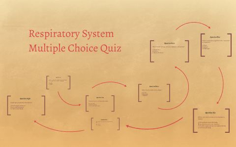 Respiratory system multiple choice quiz by on Prezi