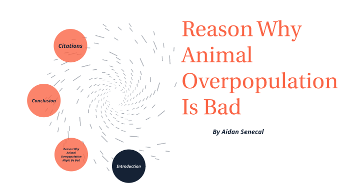 Reason Why Animal Overpopulation Is Bad by Aidan S on Prezi