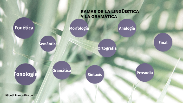RAMAS DE LA LINGÜISTICA Y LA GRAMÁTICA by Lilibeth Franco Rincon on Prezi