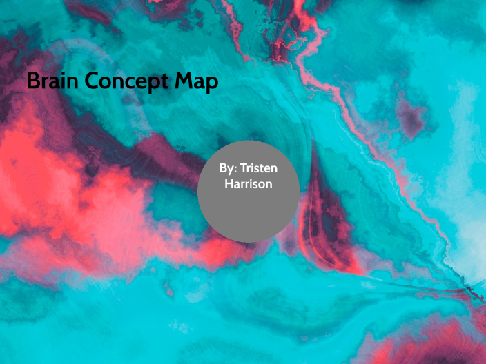 Brain Concept Map by Tristen Harrison on Prezi
