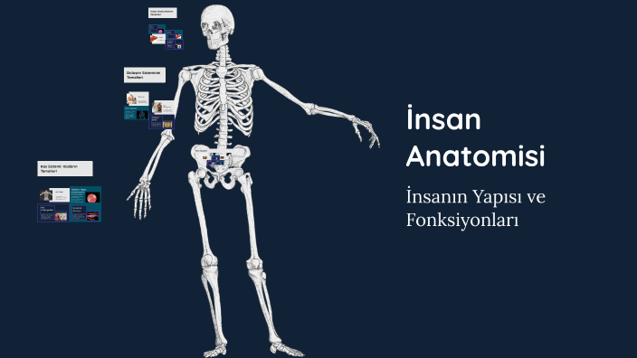 İnsan Anatomisi by Deniz on Prezi