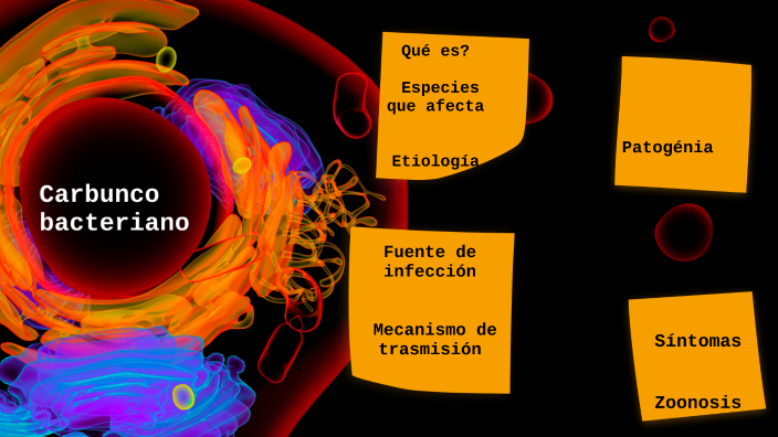 Carbunco bacteriano by Silvia Hernández on Prezi
