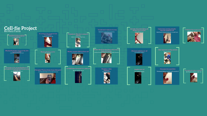 Cell-fie Project by on Prezi