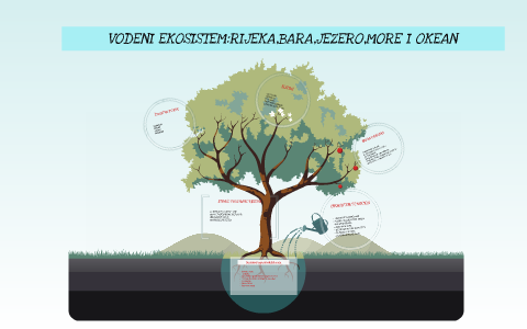 VODENI EKOSISTEM:RIJEKA,BARA,JEZERO,MORE I OKEAN by Almina Bašić on Prezi