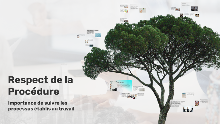 Respect de la Procédure by Maryama Bakkali on Prezi