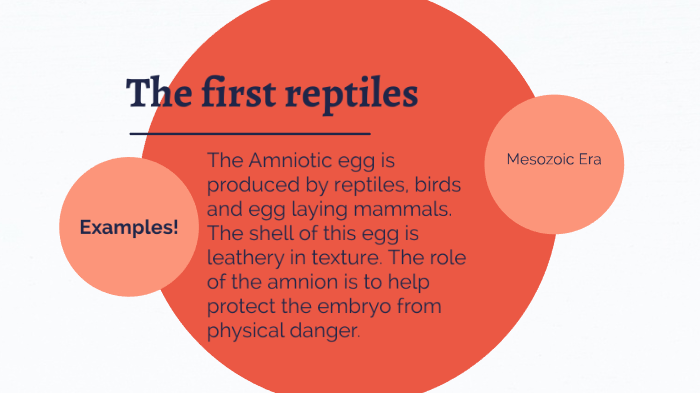 Timeline of Vertebrate Evolution: Tijah Griggs by Tijah Griggs on Prezi