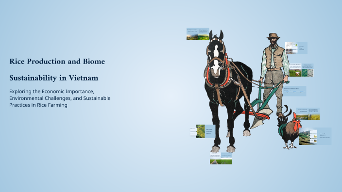 Rice Production and Biome Sustainability in Vietnam by Roger Guo on Prezi