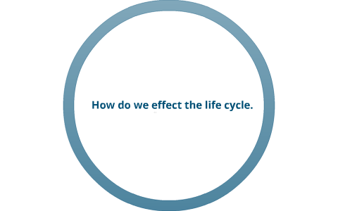 Desert Life Cycle Inquiry by Jacob Rattray on Prezi