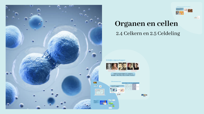 1A-1B-1C-1D 25/26 2.4 Celkern + 2.5 Celdeling by Katia De Prins on Prezi