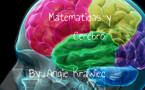 Matematicas y Cerebro by Angie Krawiec on Prezi
