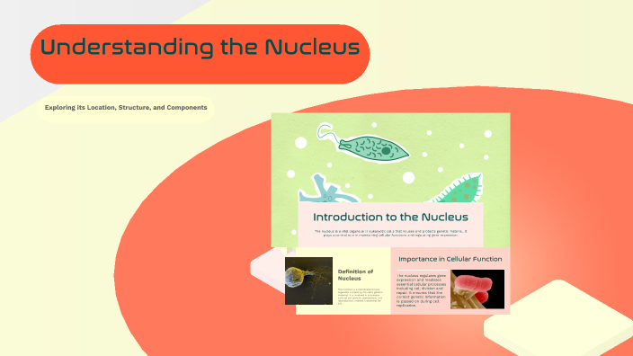 Nucleus: The Control Center of the Cell by Aman Tirkey on Prezi