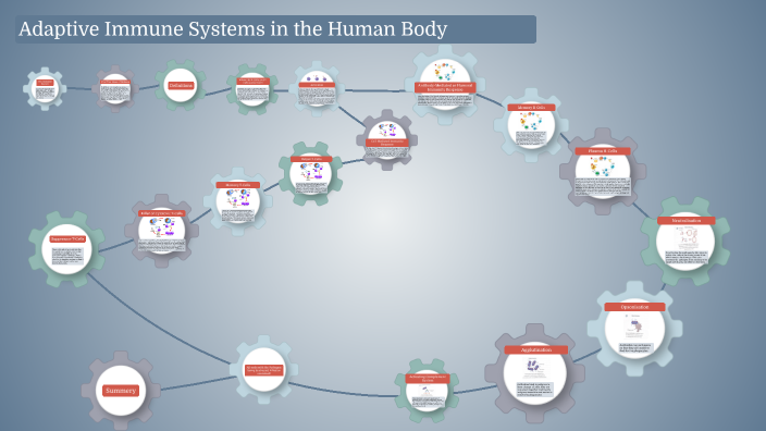 Adaptive Immune System Model by Mica Heslop on Prezi