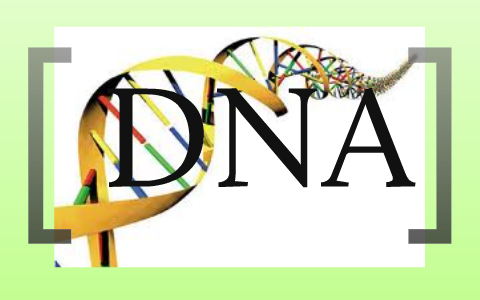 DNA Replication and Causes of Mutation by Carl Mahon on Prezi