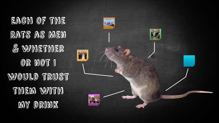 Each of the Rats as Men and if I Would Trust Them With my Drink by Kate Montgomery on Prezi